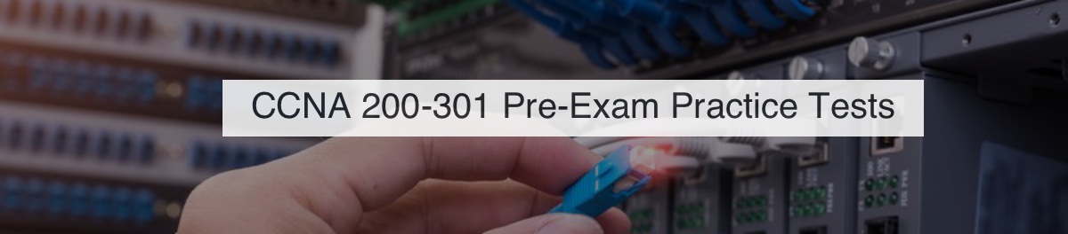 Reddit comments on "CCNA 200-301 Pre-Exam Practice Tests" Udemy course ...