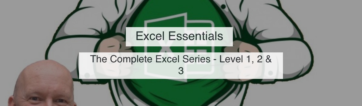 Reddit comments on "Excel Essentials" Udemy course | Reddemy