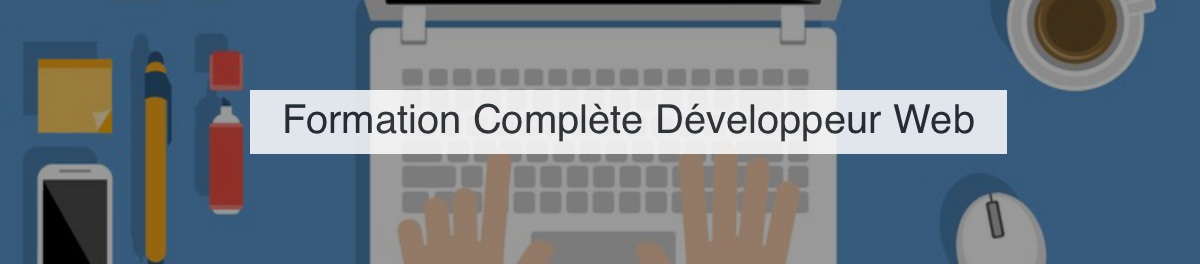 Reddit comments on "Formation Complète Développeur Web" Udemy course ...