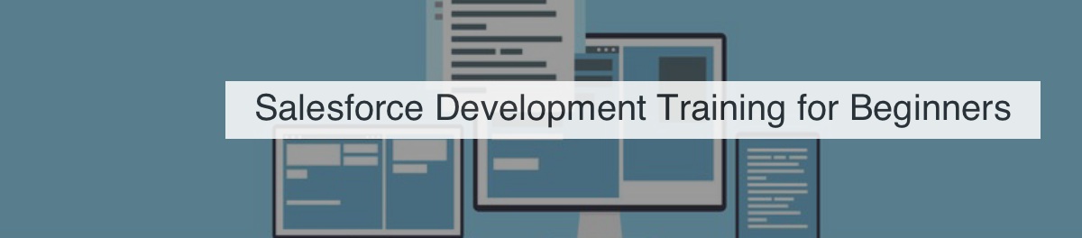 Reddit comments on "Salesforce Development Training for Beginners ...