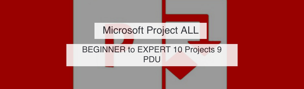 Reddit comments on "Microsoft Project ALL" Udemy course | Reddemy