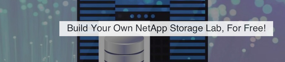 Reddit comments on "Build Your Own NetApp Storage Lab, For Free!" Udemy ...