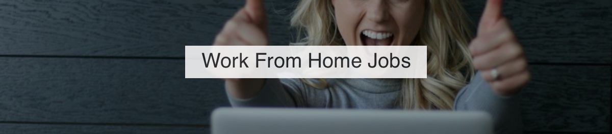 Reddit comments on "Work From Home Jobs" Udemy course | Reddemy