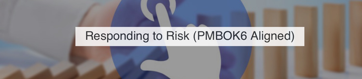 Reddit comments on "Responding to Risk (PMBOK6 Aligned)" Udemy course | Reddemy