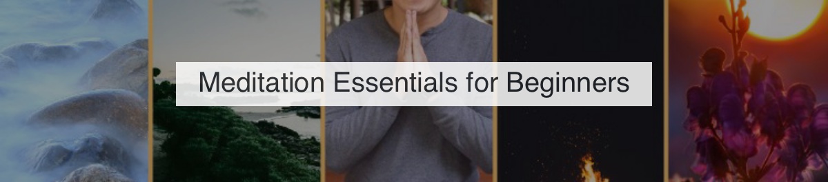 Reddit comments on "Meditation Essentials for Beginners" Udemy course ...